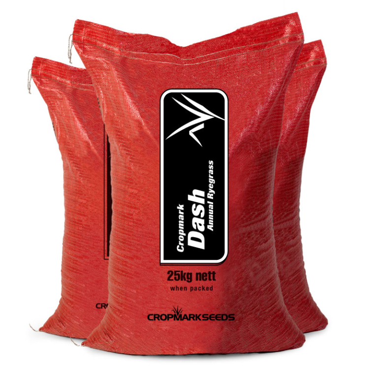 Annual Ryegrass - Notman Pasture Seeds Australia