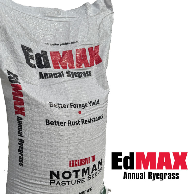 Tetila Annual Ryegrass - Notman Pasture Seeds Australia