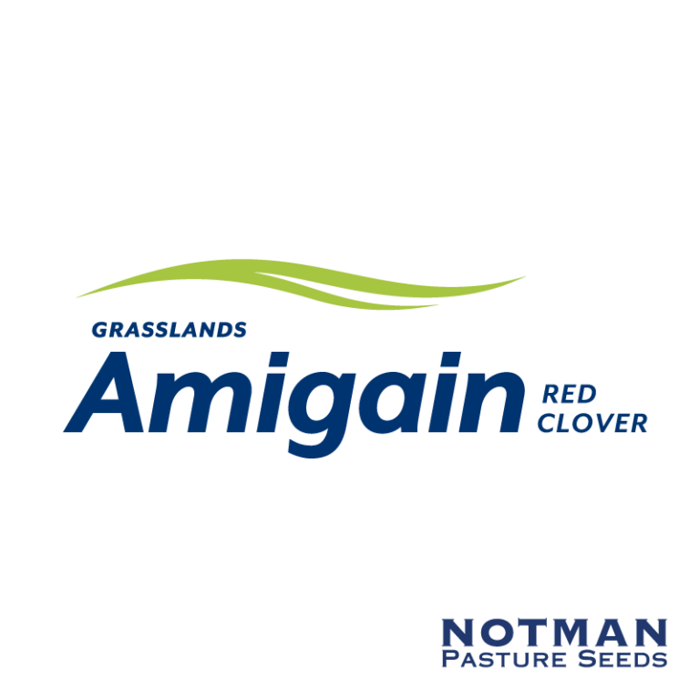 Wilpena Sulla - Notman Pasture Seeds Australia