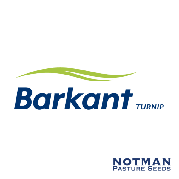 Barkant Turnip - Notman Pasture Seeds Australia