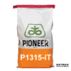 P1315IT Pioneer Maize Hybrid - Notman Pasture Seeds Australia