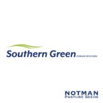 Southern Green Forage Ryecorn - Notman Pasture Seeds Australia