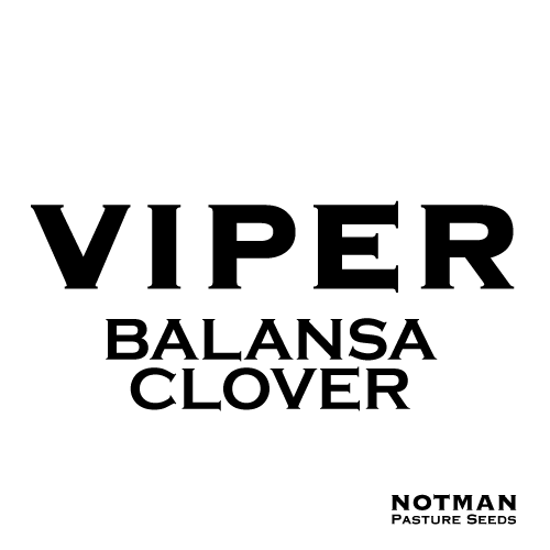 Balansa Clover - Notman Pasture Seeds Australia