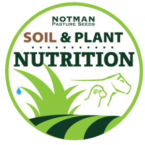 Amino Boss Pasture - Notman Pasture Seeds Australia
