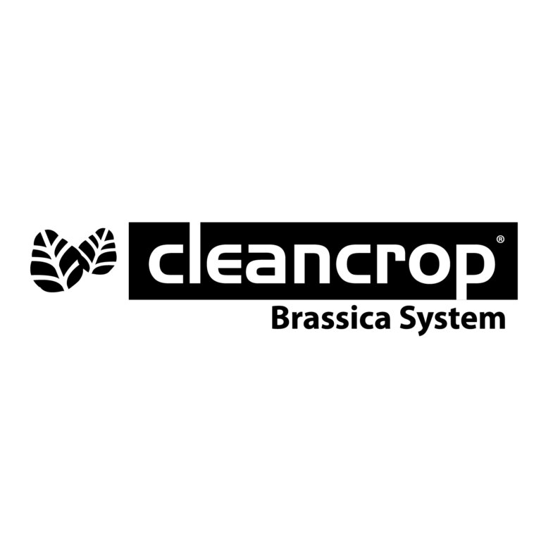 Cleancrop Toto Turnip - Notman Pasture Seeds Australia