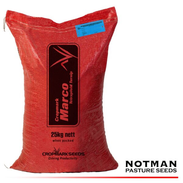 Turnips - Notman Pasture Seeds Australia