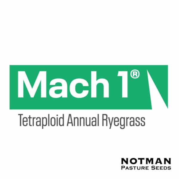 Annual Ryegrass - Notman Pasture Seeds Australia