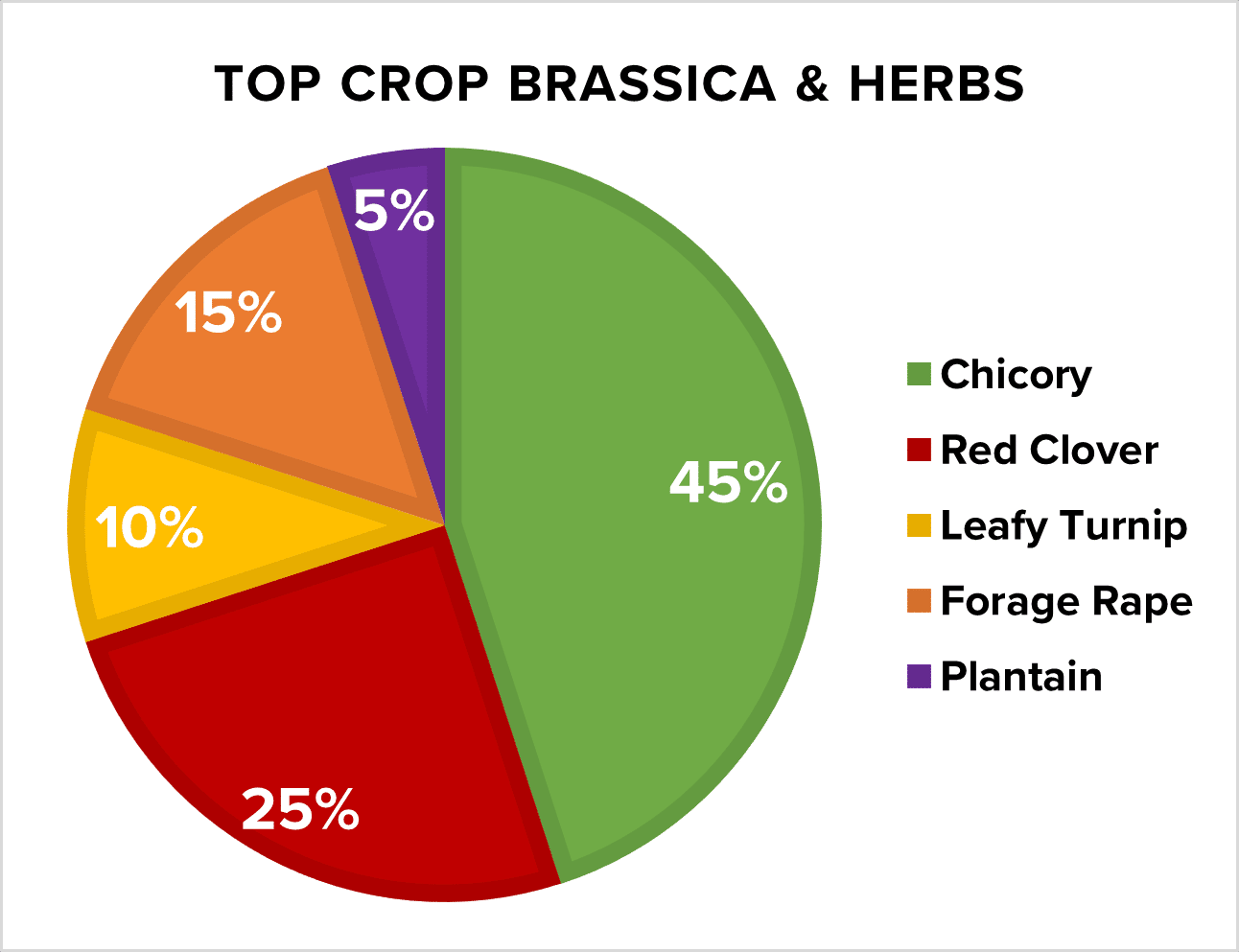 Top Crop Brassica & Herbs | Notman Pasture Seeds