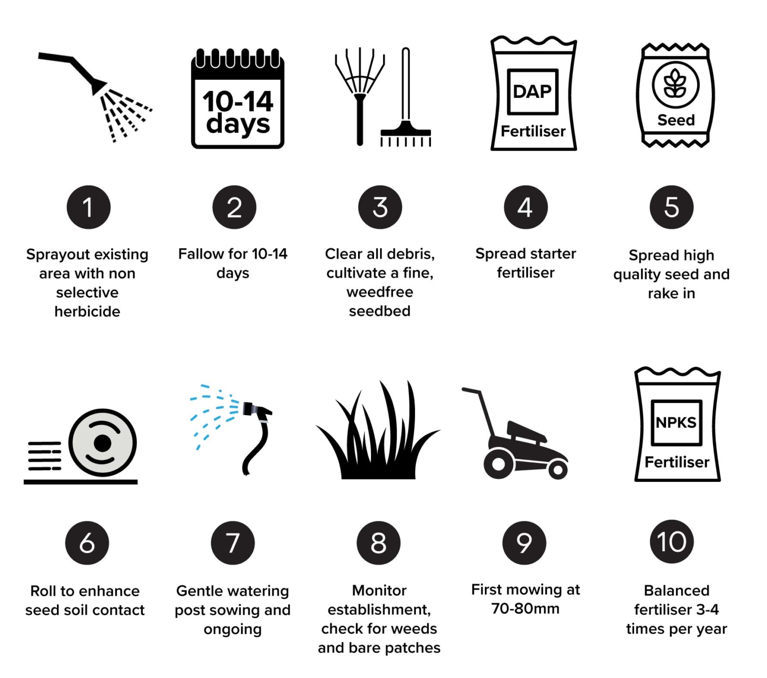 Step by step guide to establishing turf & lawn - Notman Pasture Seeds ...