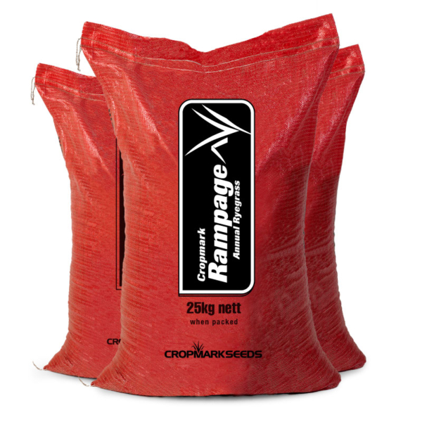 Rampage Annual Ryegrass - Notman Pasture Seeds Australia