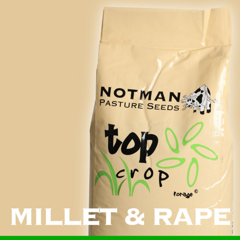 Top Crop Forage Blends Archives - Notman Pasture Seeds Australia