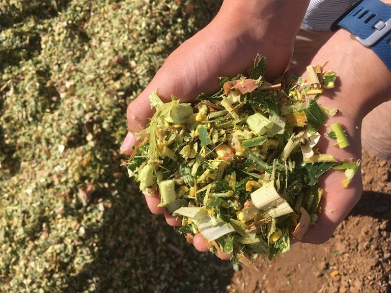 How to Make the Best Silage: Key Steps for Maximum Quality - Notman ...