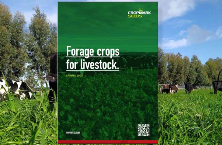 2025 Forage Crops for Livestock - Cropmark Seeds - Notman Pasture Seeds ...