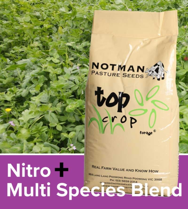 Nitro Plus Multi Species Blend - Notman Pasture Seeds Australia