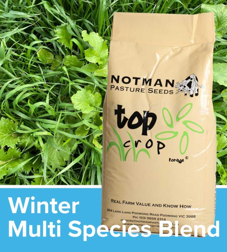 Winter Multi Species Blend - Notman Pasture Seeds Australia